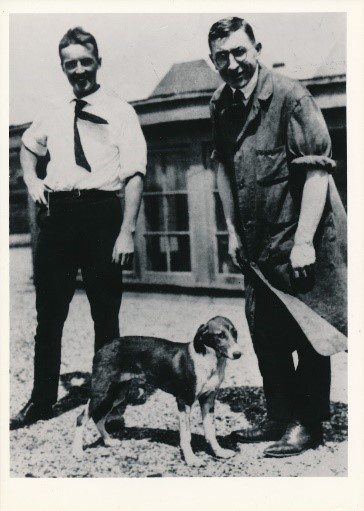 This week in history - This Week in History