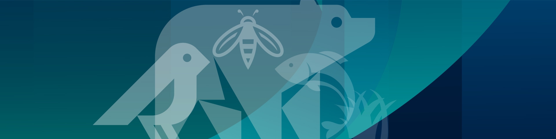 Adaptive management - Parks Canada’s report on conservation from 2018 ...