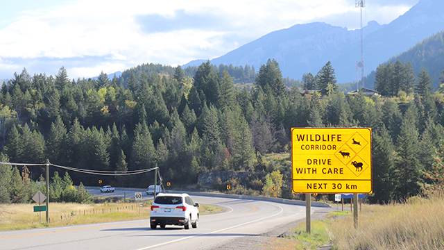 Ecological corridor initiatives