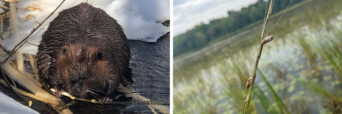 Parks Canada merchandise – your purchase helps conservation! - Nature ...