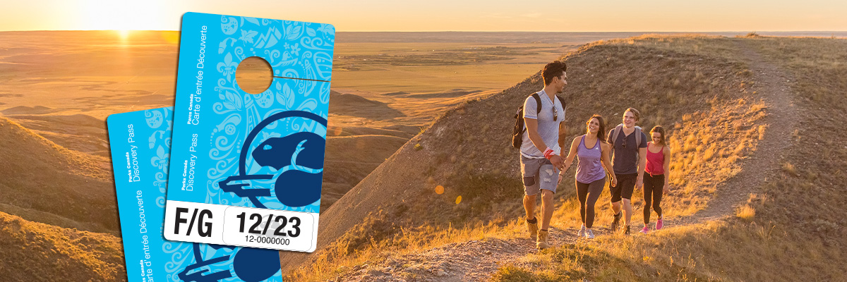 Passes, permits and fees