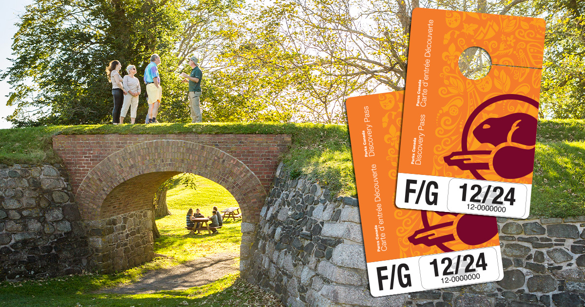 Passes, permits and fees