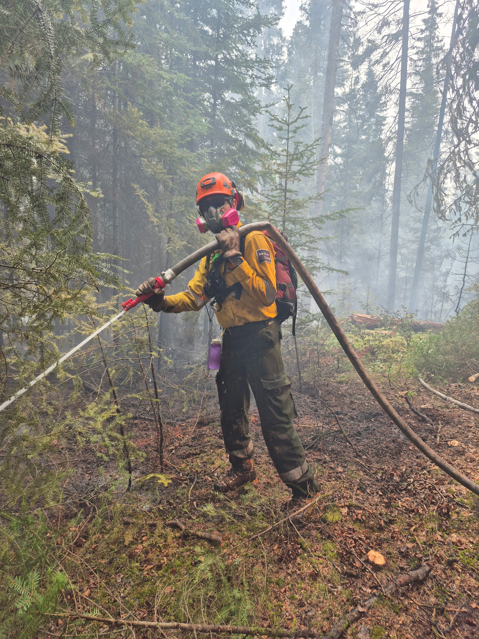Bulletins - * - Parc national de Prince Albert