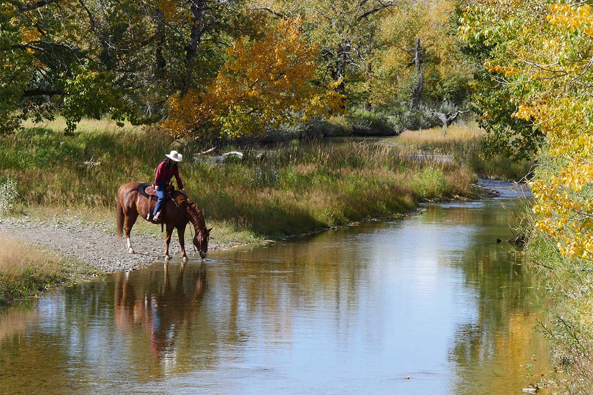 Stewardship and management - Bar U Ranch National Historic Site