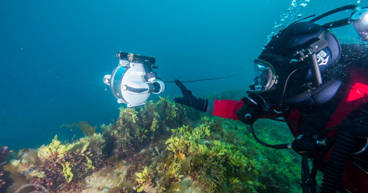 ᐊᔾᔨᓕᐅᕆᔪᒪᔪᑦ, ᑕᕐᕆᔮᒃᓴᓕᐅᕈᒪᔪᑦ, ᐊᒻᒪ ᐊᔾᔨᙳᐊᓂᒃ ᑐᑦᓯᕋᐅᑏᑦ ᒥᑦᓵᓄᑦ - Wrecks of HMS ...