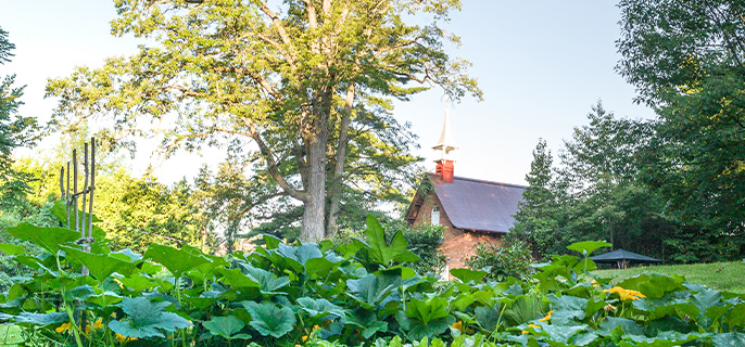 Calendar - * - Manoir Papineau National Historic Site