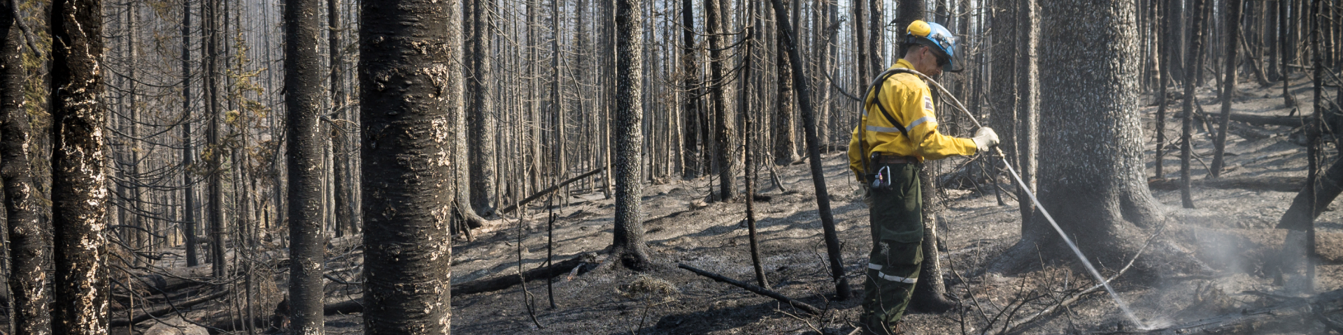 Current wildfire status - Banff National Park