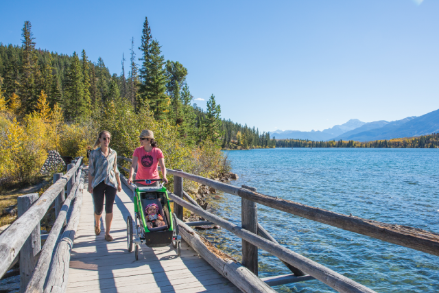 Summer in Jasper National Park - Jasper National Park