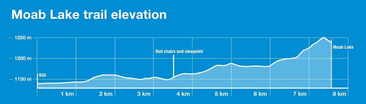Cross-country skiing - Jasper National Park