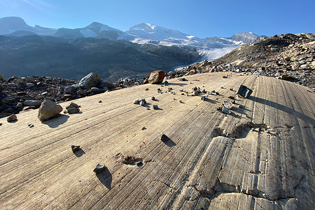 Glaciers and icefields - Jasper National Park