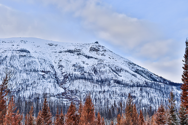 Glaciers and icefields - Jasper National Park