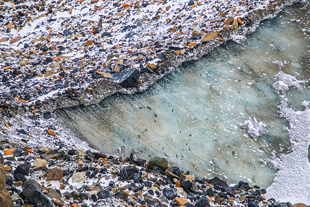 Glaciers and icefields - Jasper National Park