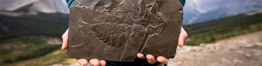 Burgess Shale fossil hikes - Yoho National Park