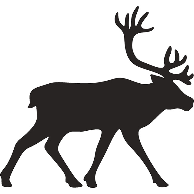Adaptations - Wapusk National Park