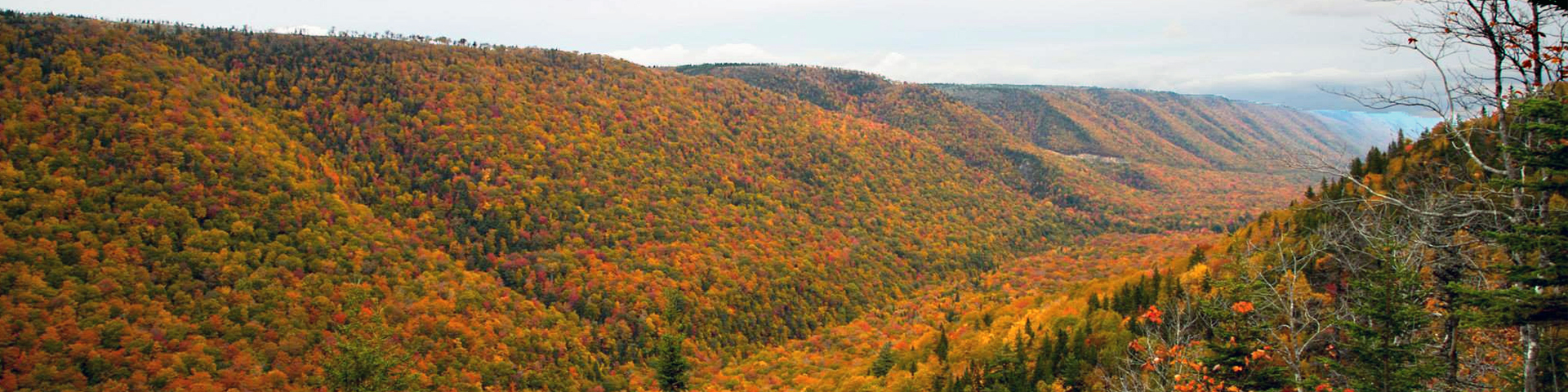 Aspy - Cape Breton Highlands National Park