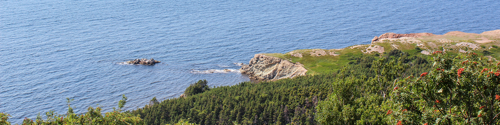 Le vieux chemin du Cap-Rouge - Cape Breton Highlands National Park