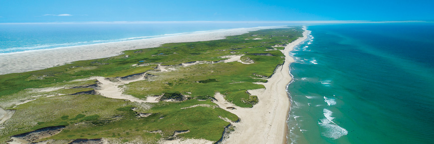 Plan your visit - Sable Island National Park Reserve