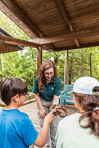 Guided activities and interpretive programs - Bruce Peninsula National Park