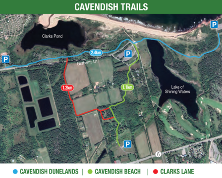 Cavendish Dunelands - Prince Edward Island National Park