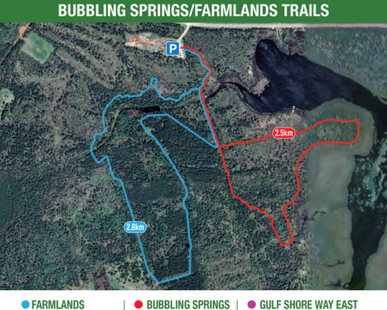 Bubbling Springs - Prince Edward Island National Park