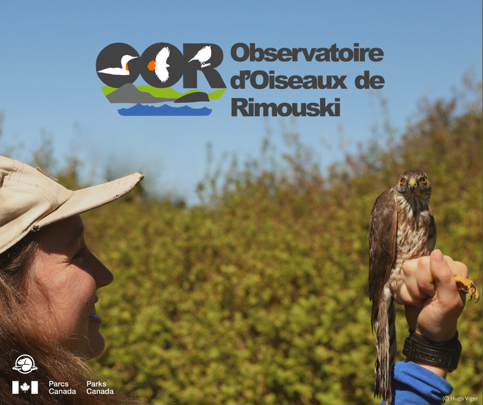 Activités de découverte - Parc national Forillon