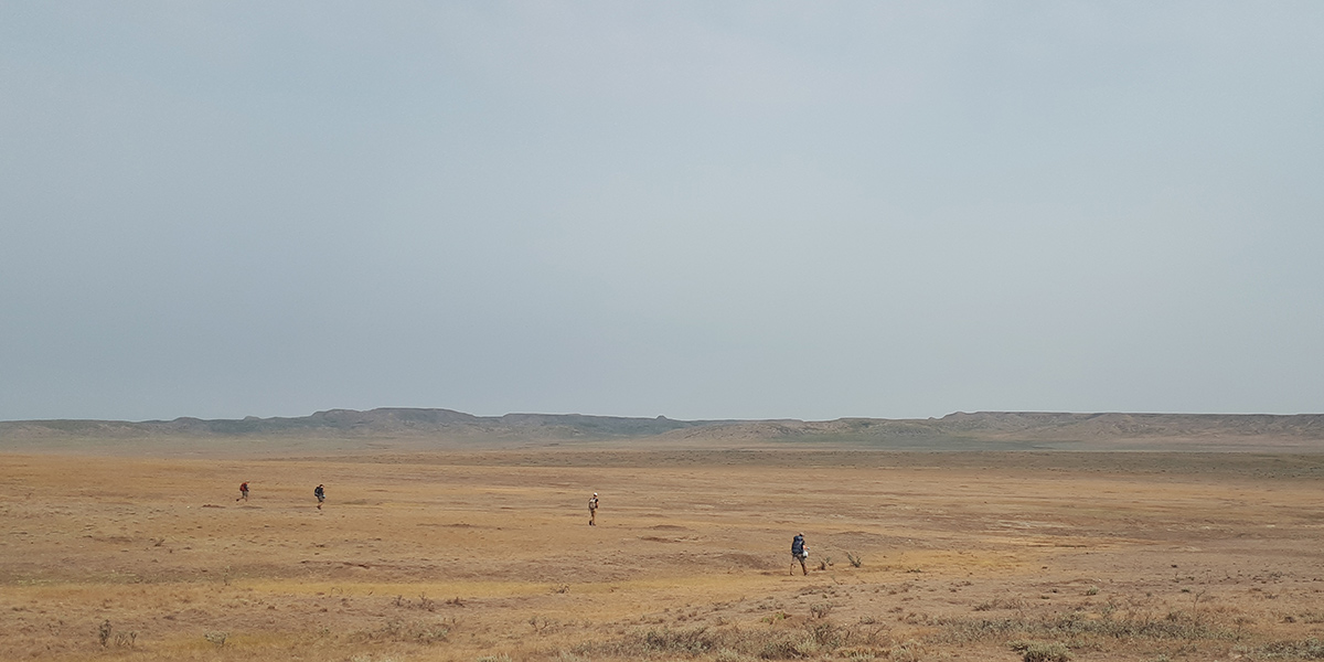 Black tailed Prairie Dog Monitoring and Trapping in Grasslands National ...