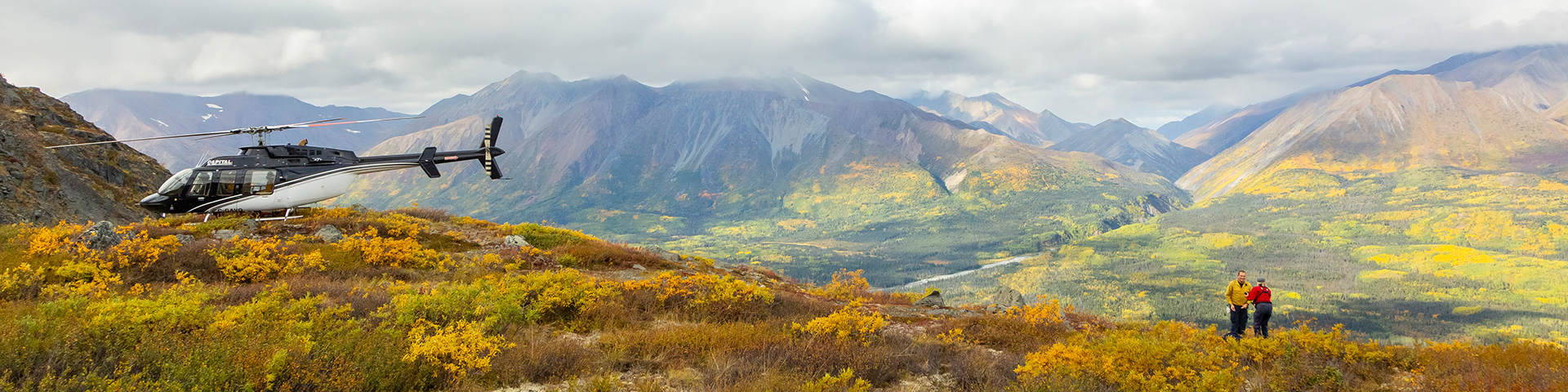 Restaurer les écosystèmes forestiers - Parc national et réserve de parc ...
