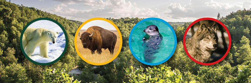 Bienvenue à l’aventure animale avec Parcs Canada!